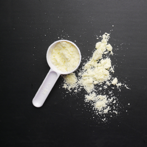 Cryptobiotix - Decipher the gut