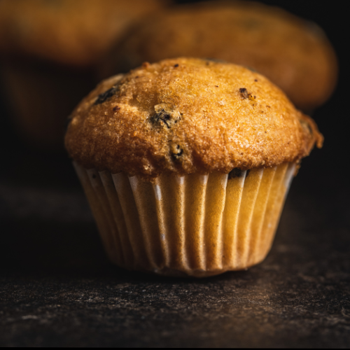 Cryptobiotix - Decipher the gut